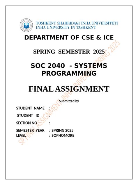 Your Id Soc2040 Sp Final Assignment Spring 2025 Pdf Integer Computer Science Random