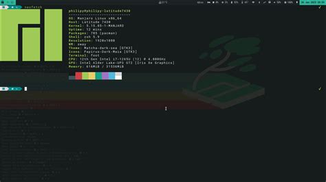 Dual Boot Manjaro Linux With Windows 11 烂磁头 好记性不如烂磁头
