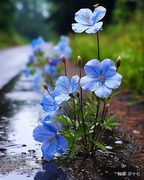 看看宫崎骏如何表达“我喜欢你” 知乎