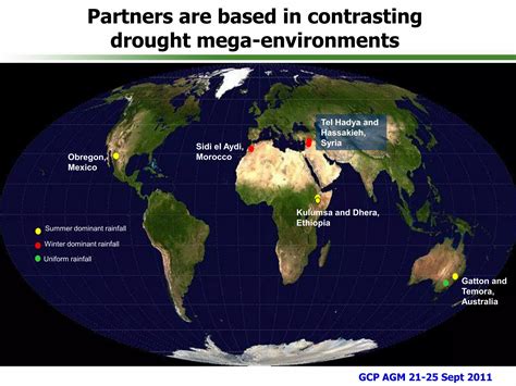 Grm 2011 Phenotyping Wheat For Drought Tolerance Ppt