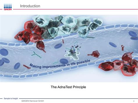 The Molecular Analysis On Circulating Tumor Cells To Determine Prognostic And Predictive Factors