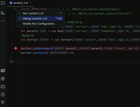 运行和调试 Typescript Intellij Idea 文档