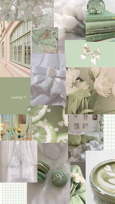 Sage Green And White Coquette Aesthetic Phone Wallpaper