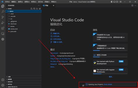 一篇文章带你使用vscode搭建springboot开发环境vscode Springboot Csdn博客