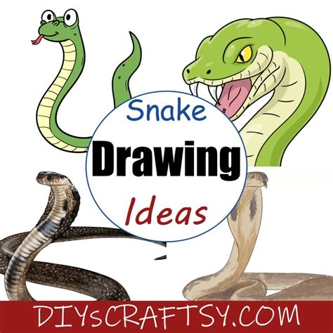 Snail Drawing Ideas How To Draw Snail DIYsCraftsy