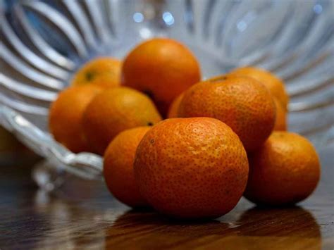 How To Assign An Event Handler In C Builder Indo American Indian