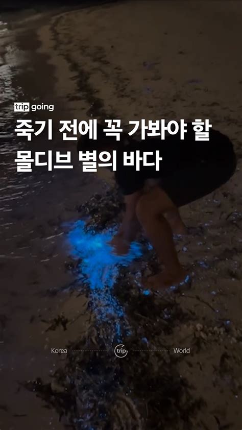 죽기 전에 꼭 한 번은 가봐야 할 몰디브의 명소 별의 바다를 소개합니다 이곳은 모래사장으로 밀려드는 파도에 의해 발광 플랑크톤이 반짝였다가 사라지며 작은 빛의 입자들이