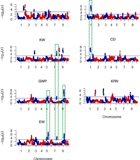 Plots Of Test Statistic −log10p Against Genome Location For Seven
