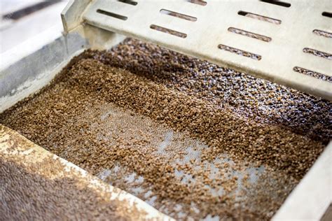 폐기물 재활용 공장의 진동 컨베이어 벨트에서 플라스틱 쓰레기를 분류하는 중 슬로우 모션 무료 사진