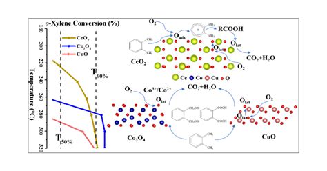 Understanding The Different Roles Of Adsorbed Oxygen And Lattice Oxygen Species In The Distinct