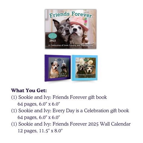 Sookie And Ivy T Books Fox Chapel Publishing Co