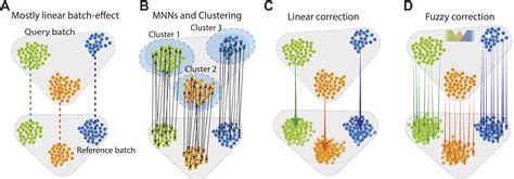 Batch Correction Of Single Cell Transcriptome Data • Canek