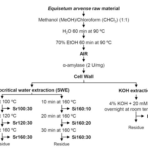 Equisetum Arvense Cell Wall Fractions Analysis Fractions Were Obtained Download Scientific