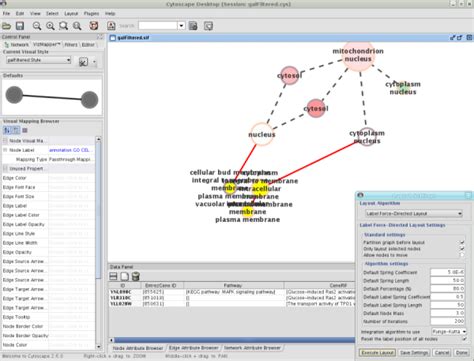 Cytoscapeusermanualnavigationlayout Cytoscape Wiki