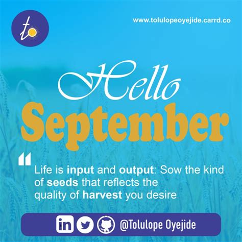 Tolulope Oyejide On Linkedin Do Not Measure Success By Todays Harvest Measure Success By The