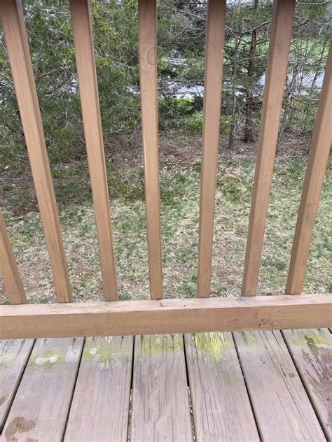 Removing Deck Stain Learn How To Remove Stain From Wood Decking