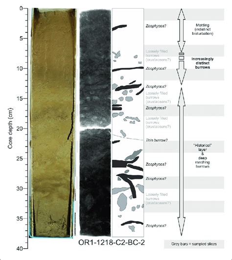 Assessment Of The Vertical Extent Of Sediment Mixing As Well As The Download Scientific