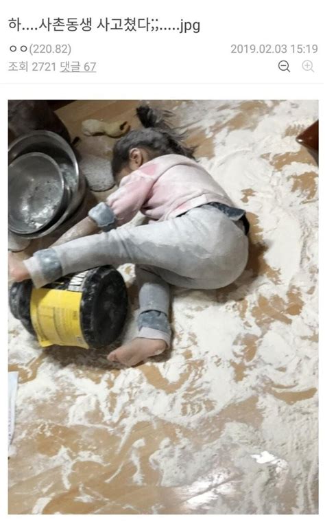 중복제거 ㅇㅎ 디시 명절레전드 유머 움짤 이슈 에펨코리아