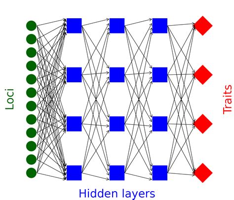 The Evolutionary Algorithm • Resevol