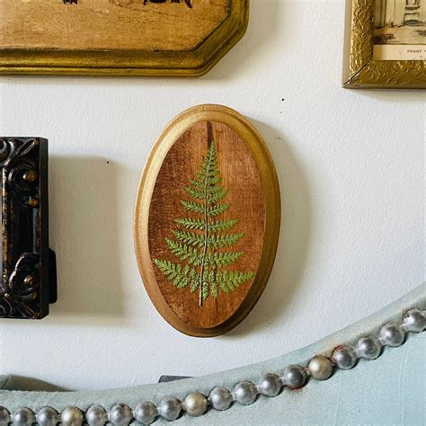Mini Forest Fern Wall Art Botanical Fern Wall Hanging Pressed