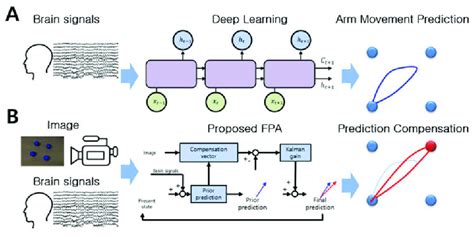Arm Movement Prediction From Brain Signals And Compensation Based On Download Scientific