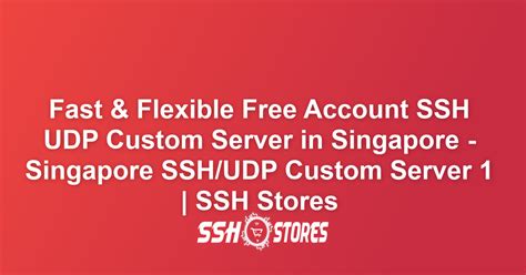 Free Ssh Udp Custom Server In Singapore Singapore Sshudp Custom Server 1 Ssh Stores