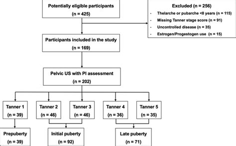 Study Flowchart PI Pulsatility Index US Ultrasound Download Scientific Diagram