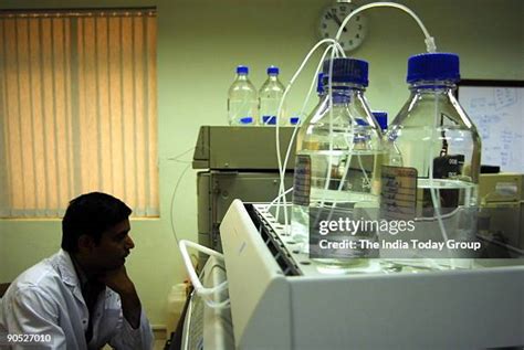 Reddys Lab Photos And Premium High Res Pictures Getty Images