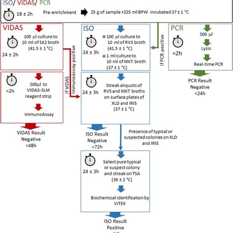 Comparison Of Iso 6579 1 Vidas Easy Slm And Surefast® Salmonella One Real Time Pcr For