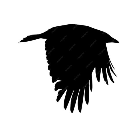 까마귀 실루엣 세트 컬렉션 흰색 배경 벡터 일러스트 레이 션에 고립 된 블랙 프리미엄 벡터