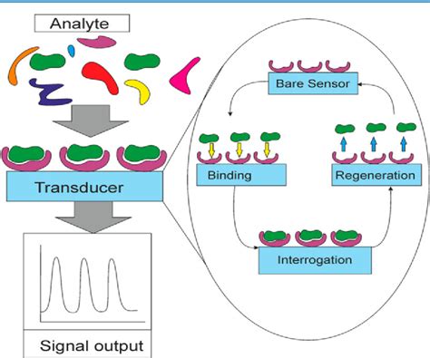 Figure 1 From Biosensing Platforms For Cardiac Biomarker Detection Semantic Scholar