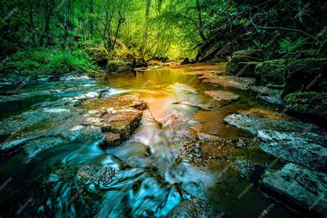 Premium Photo Nature Wallpaper Beautiful Nature Wallpaper 4k Nature