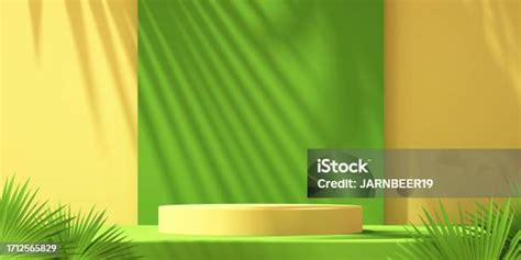 녹색과 노란색 배경에 나무 그림자 여름 배경 3d 렌더링 일러스트레이션이 있는 제품 연단 모형 디스플레이 3차원 형태에 대한 스톡 사진 및 기타 이미지 Istock