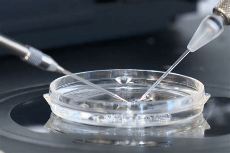 Everything You Need To Know About Genetic Testing Pgt In Ivf