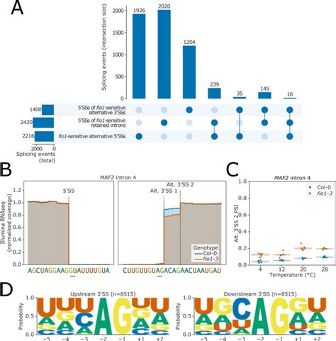 Figure Supplement 1 A Upsetplot Showing The Overlap Of Download Scientific Diagram