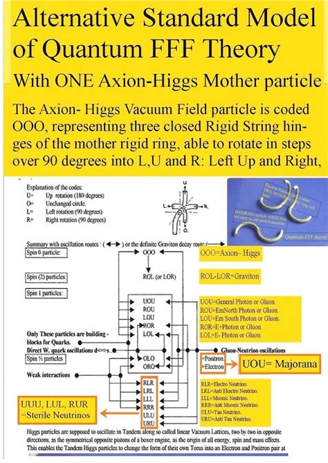 Quantum Function Follows Form Q Fff Theory An Entangled Mirror
