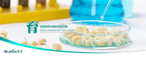 山东圣丰种业科技有限公司