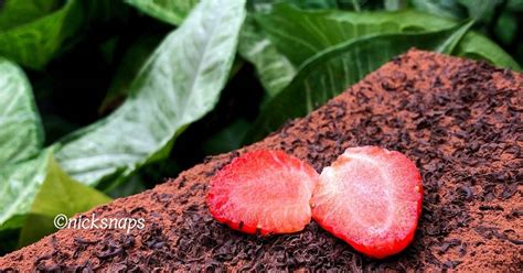 Resep Puding Brownies Roti Tawar Oleh Enik Sulistyawati Cookpad