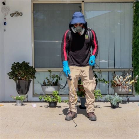 Commercial Pest Control In Perth Loins Pest And Weed Control