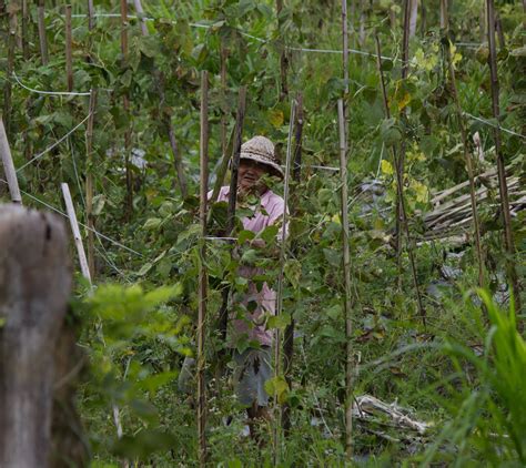 Img19903 Bali Field Work Lars Nedergaard Jensen Flickr