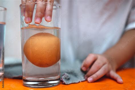 Science Experiment On Sinking Eggs Floating Eggs With Water And Salt Water Babe Girl S Hand
