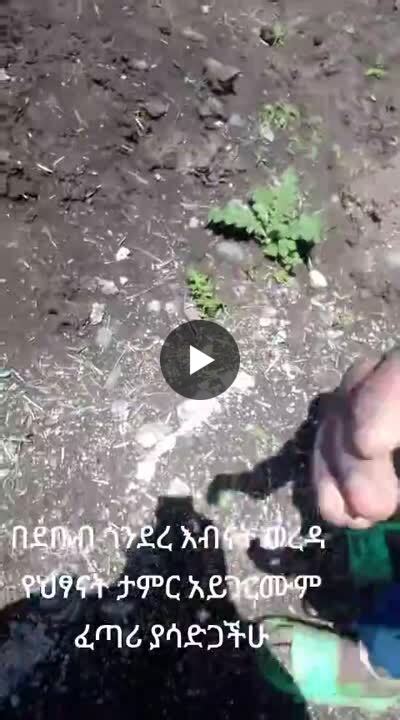 Architecture Temesgen Negussie ተመስገን ንጉሴ