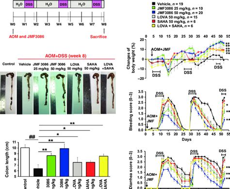 Preventive Effect Of Jmf3086 On The Colitis Symptoms In Aom Dss Mouse Download Scientific