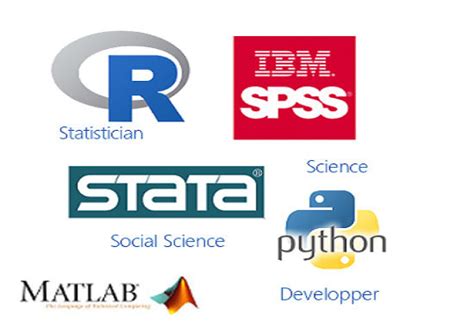 Analyze Your Data Using Spss Stata Excel Eviews Python And R Studio