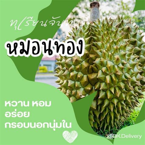 พร้อมส่ง ทุเรียน ทุเรียนหมอนทอง หมอนทอง หวานหอมอร่อย มีหลายขนาด จัดส่งทั้งลูก Ennxo