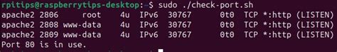 Effective Ways To Check Open Ports On Linux Ubuntu RaspberryTips