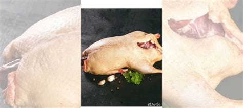 Мясо гуся купить в Челябинске Товары для дома и дачи Авито