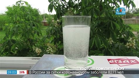 Е330 — пищевая добавка лимонная кислота: опасна или нет? Влияние на ...