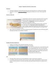 Chapter 7 Membrane Structure And Fuction Pdf Chapter 7 Membrane Structure And Function
