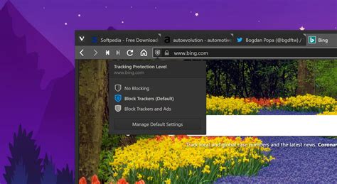 Vivaldi 3 0 Review Softpedia